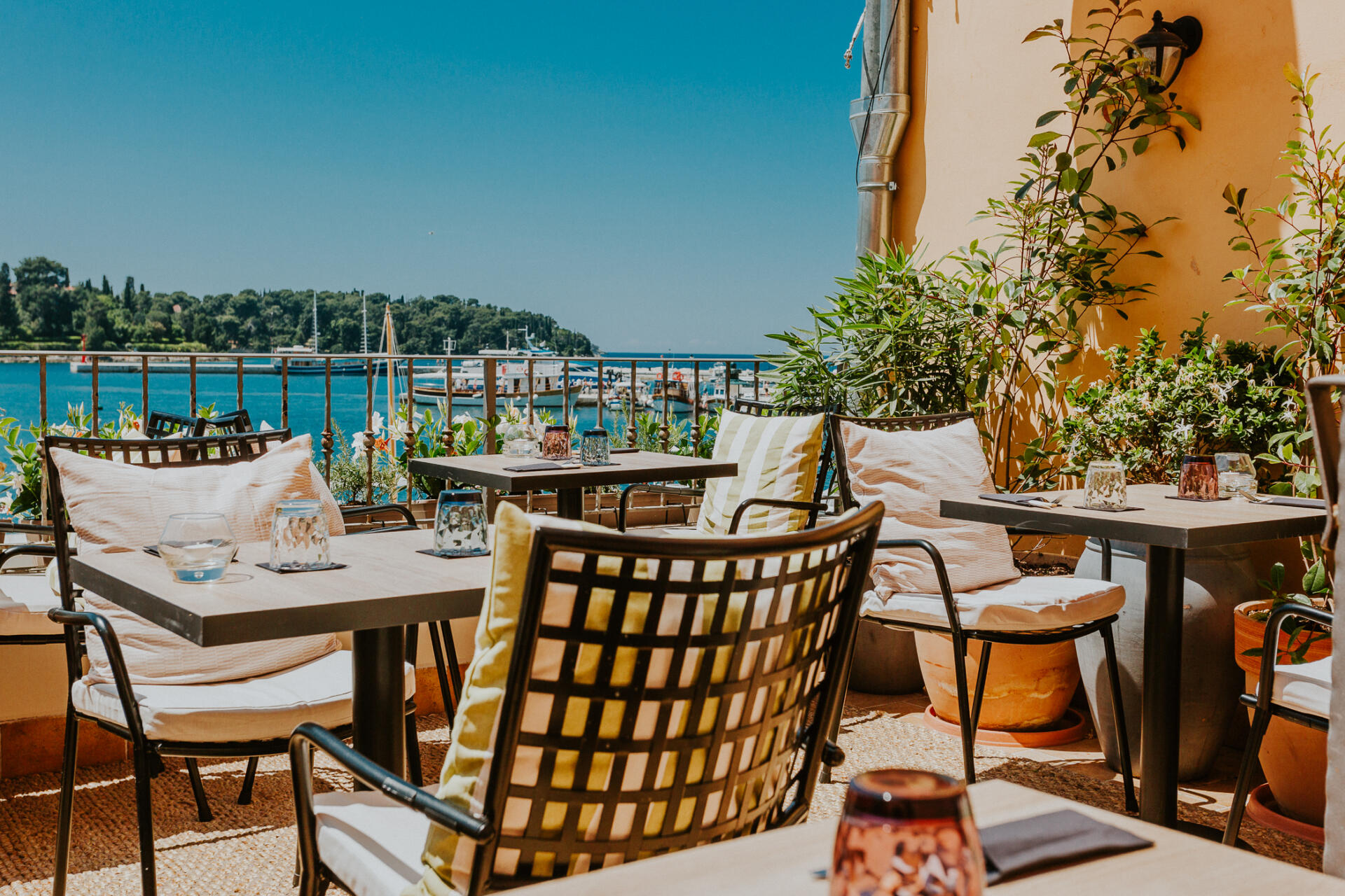 U Rovinju otvoren novi restoran - Koi Fusion By Takenoko! | MagMe | MagMe